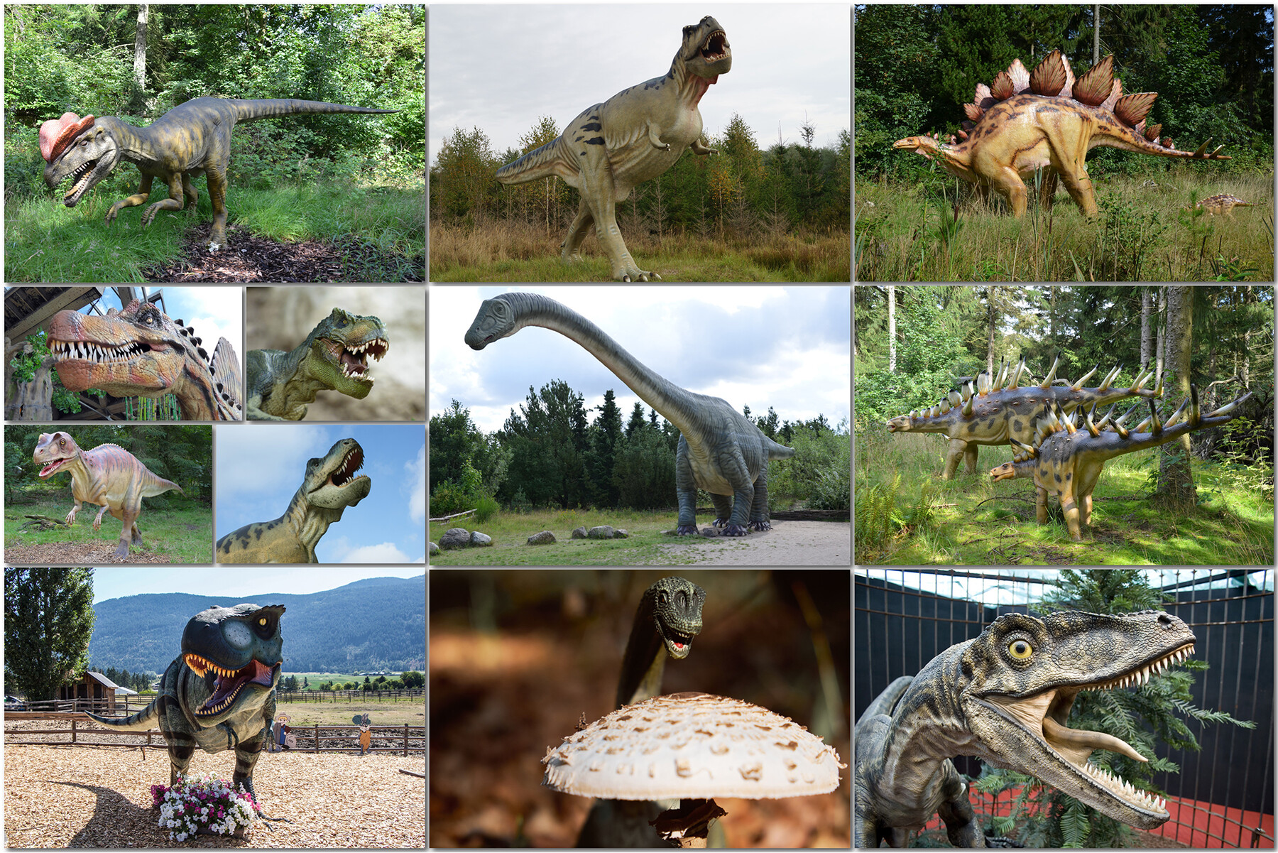 ArtStation - 100 Dinosaur Digital Backdrop T-Rex, Rex Dinosaur, Digital ...