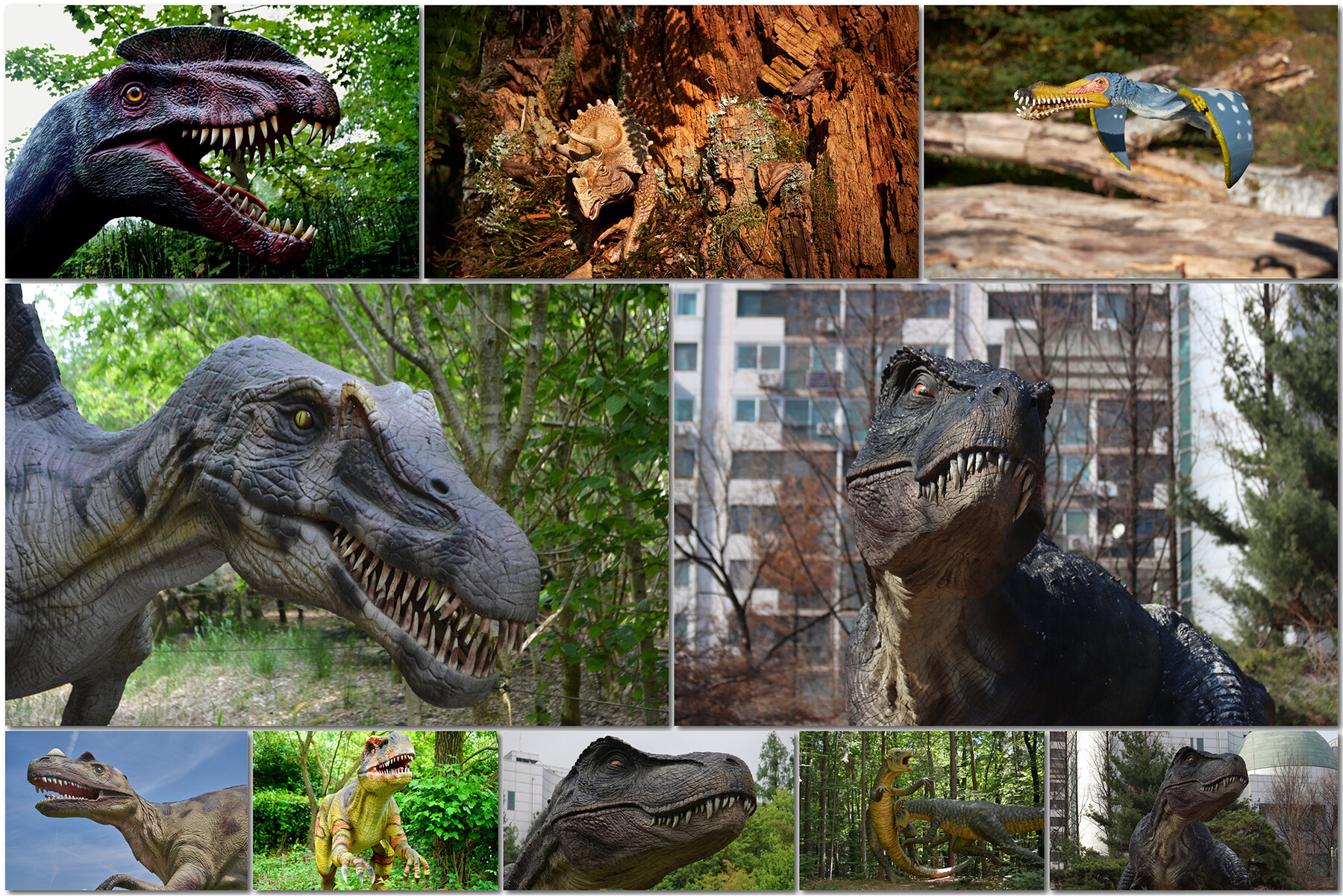 ArtStation - 100 Dinosaur Digital Backdrop T-Rex, Rex Dinosaur, Digital ...