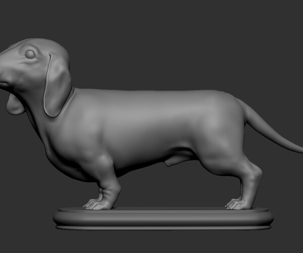ArtStation - Dachshund | Resources