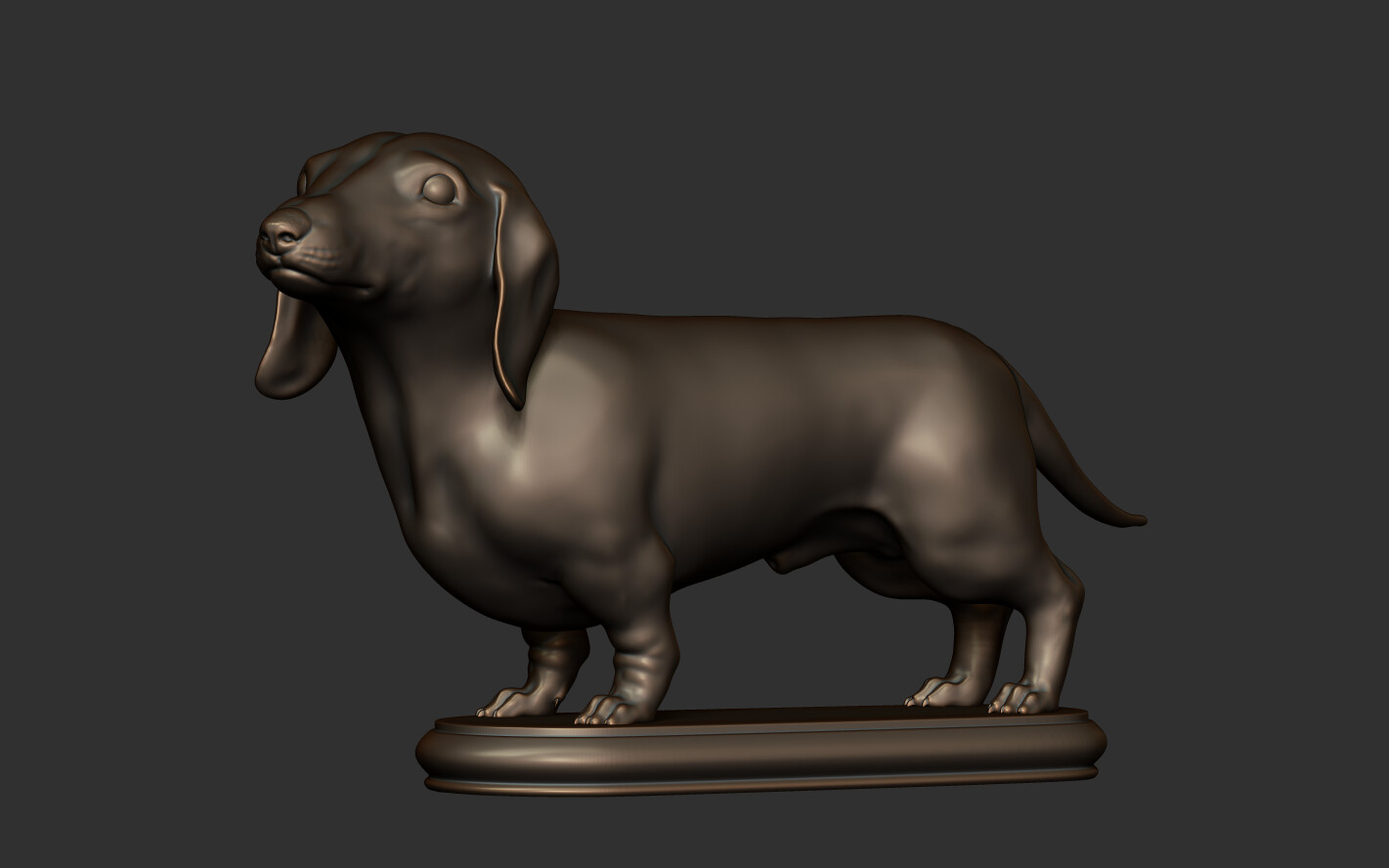 ArtStation - Dachshund | Resources