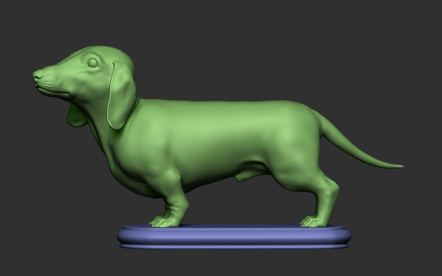 ArtStation - Dachshund | Resources