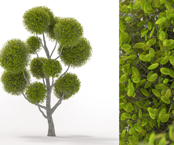 ArtStation - First day with SpeedTree | Tutorials