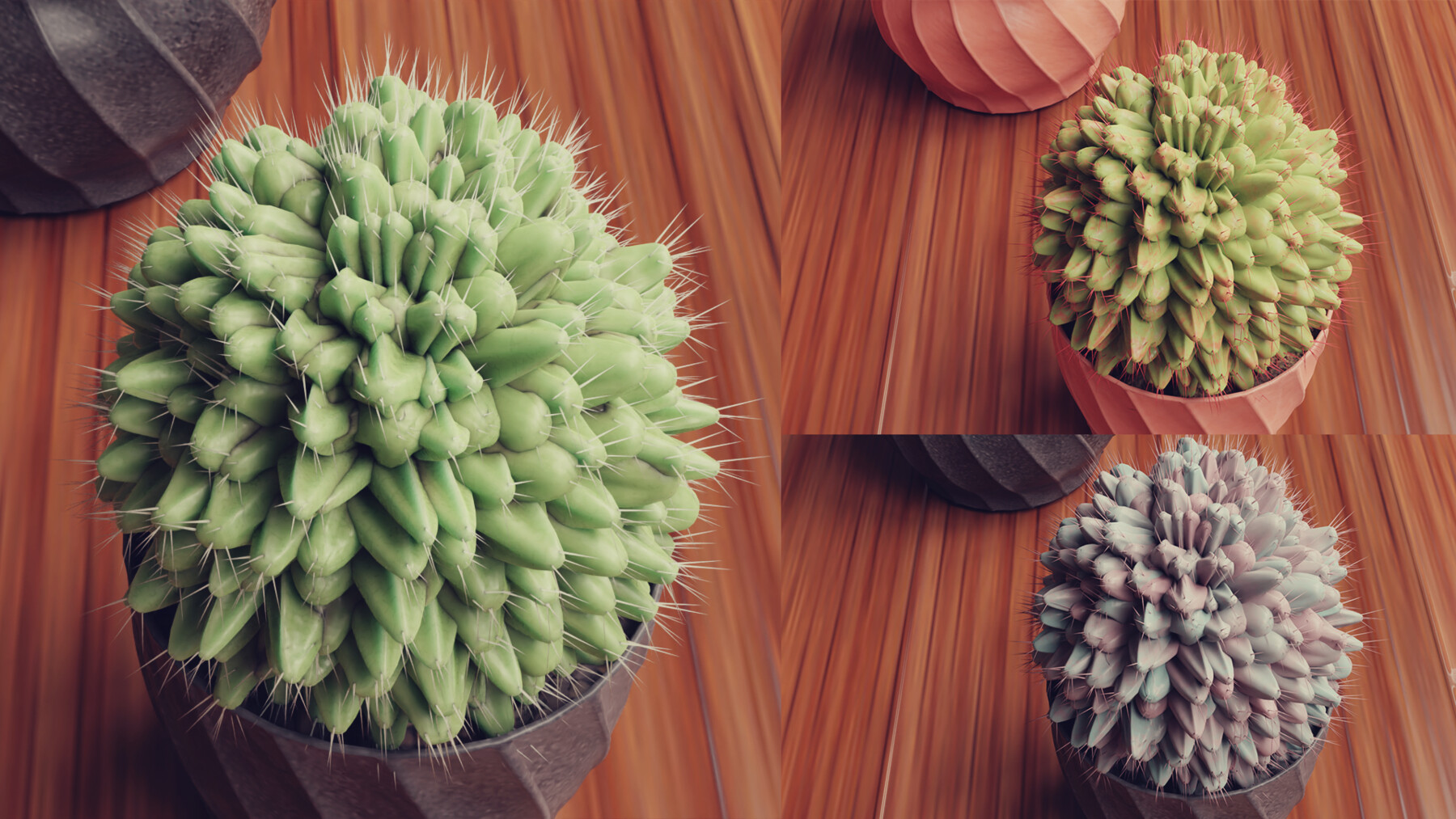 ArtStation - Collection of Succulent Plants Plants Vol 03 | Game Assets