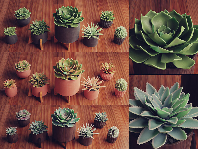 ArtStation - Collection of Succulent Plants Plants Vol 03 | Game Assets