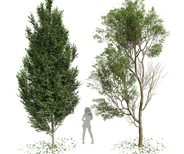 ArtStation - New Tree Carpinus Betulus Broadleaf Prunus Spinosa Summer ...