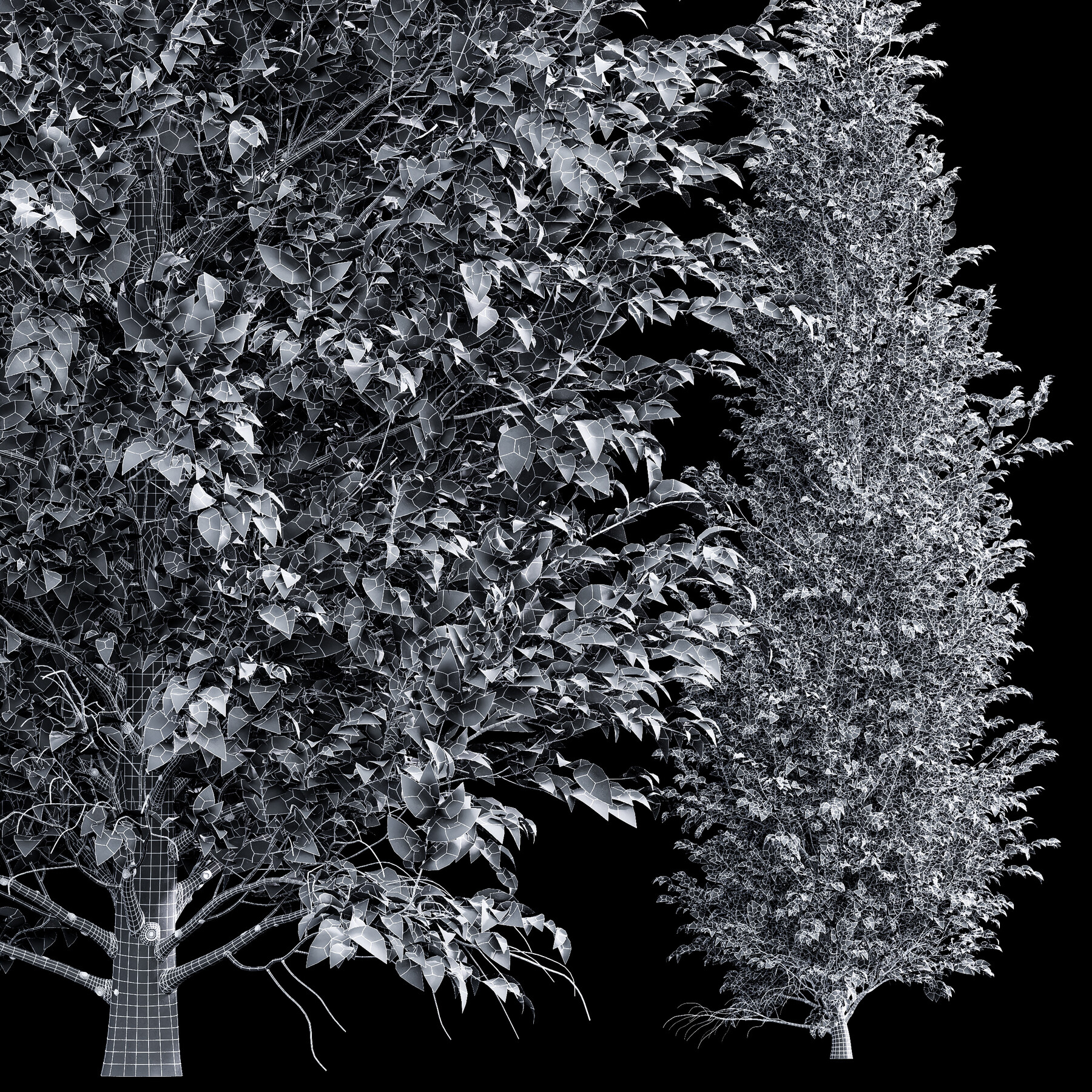 ArtStation - New Tree Carpinus Betulus Broadleaf Prunus Spinosa ...