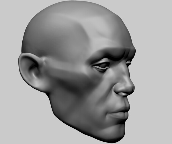 ArtStation - Base Head Anatomy | Resources