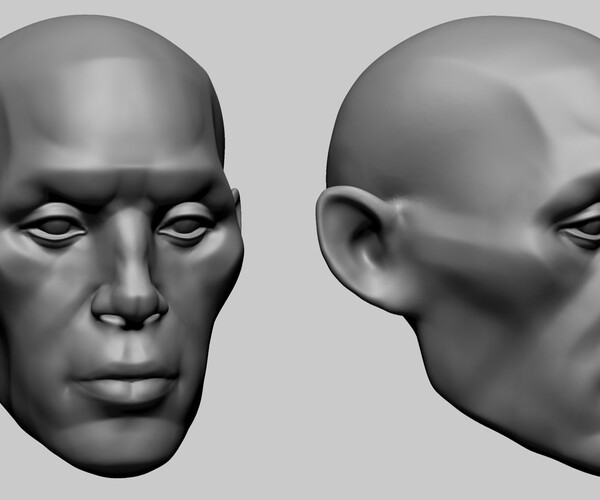 ArtStation - Base Head Anatomy | Resources