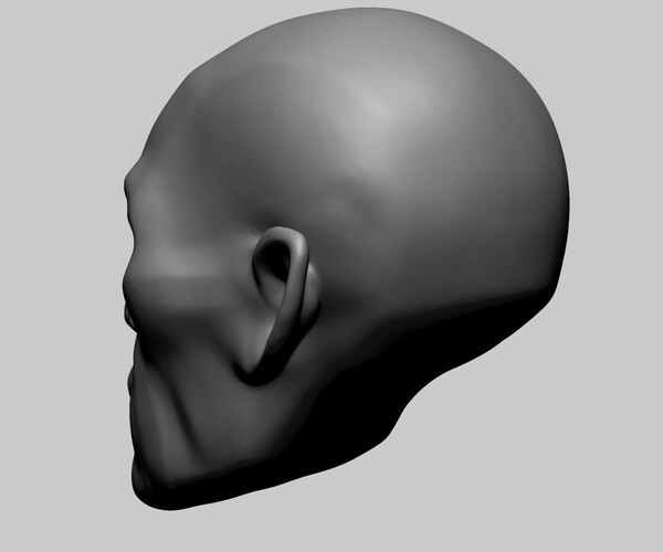 ArtStation - Base Head Anatomy | Resources
