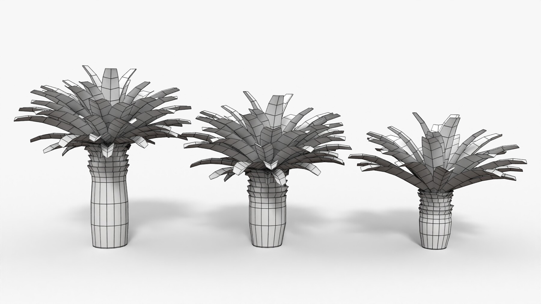 ArtStation - 3D Model: Low Poly Cycads Collection | Resources