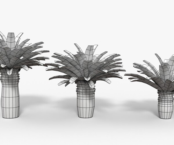 ArtStation - 3D Model: Low Poly Cycads Collection | Resources