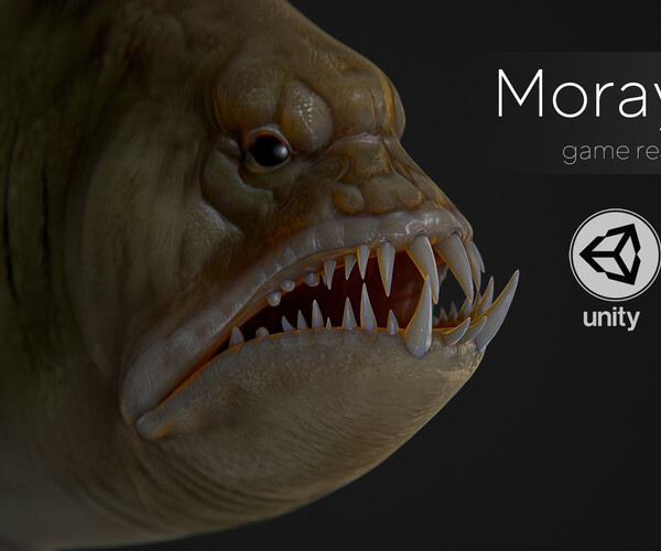 ArtStation - Ocean Monster Fish Pack / Fish low poly model / lowpoly ...