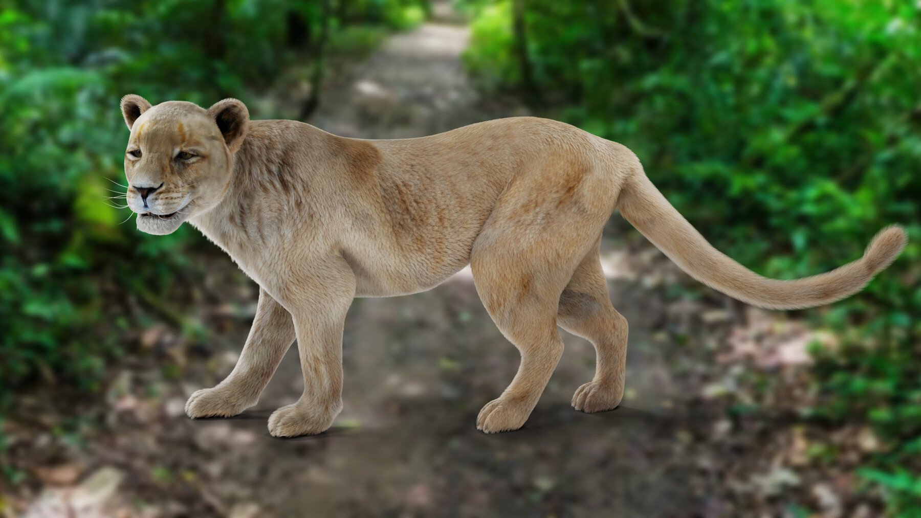 Artstation Fur Lioness Rigged And Animation In Blender Game Assets