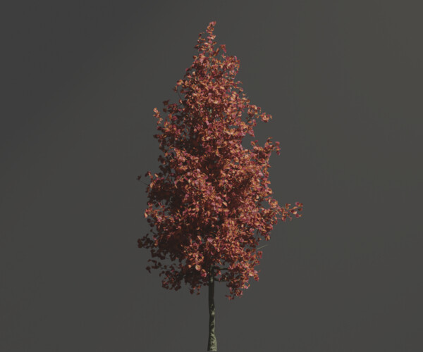 ArtStation - tree | Resources