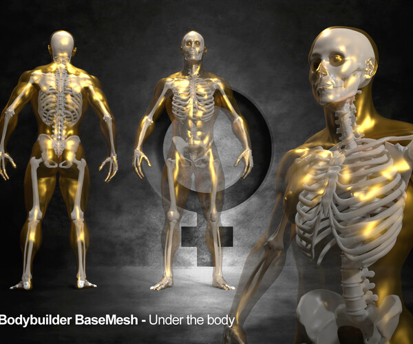 ArtStation - Human Female [ Body/Skin Basemesh ] Bodybuilder | Resources