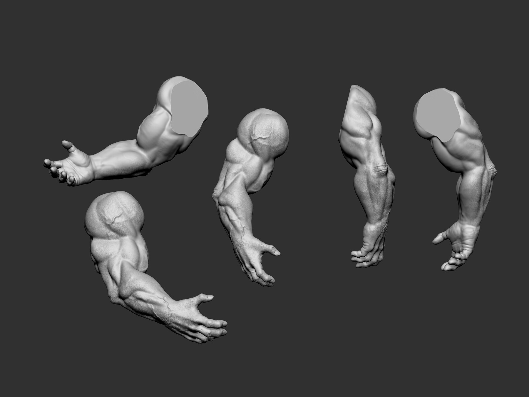 ArtStation - Arm basemesh | Resources