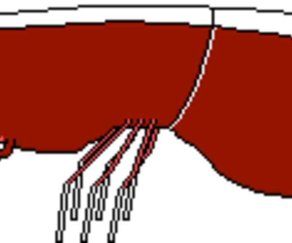 ArtStation - 2D Sprite Pack | Game Assets