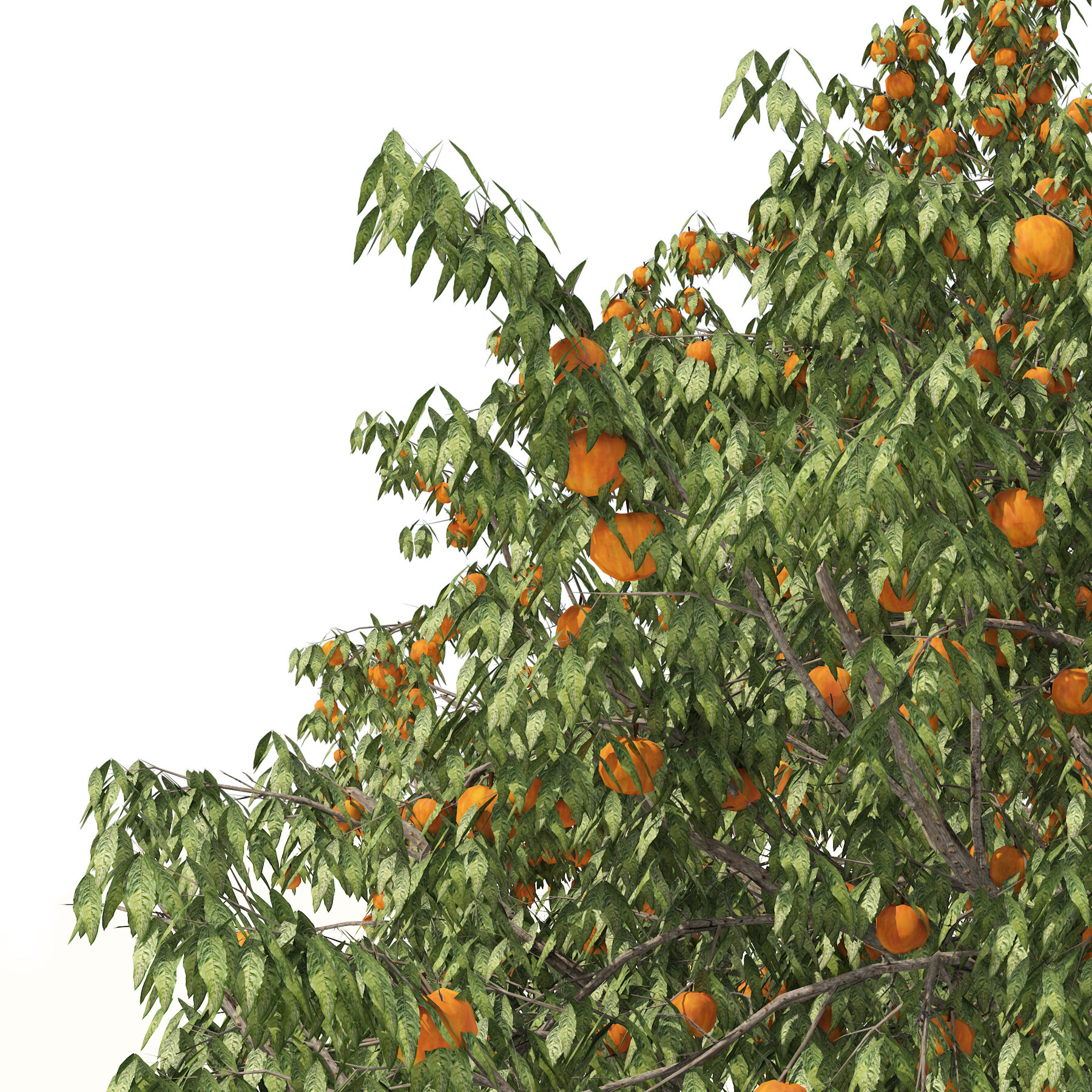 ArtStation - 2 Freestone Peach fruit Trees | Game Assets