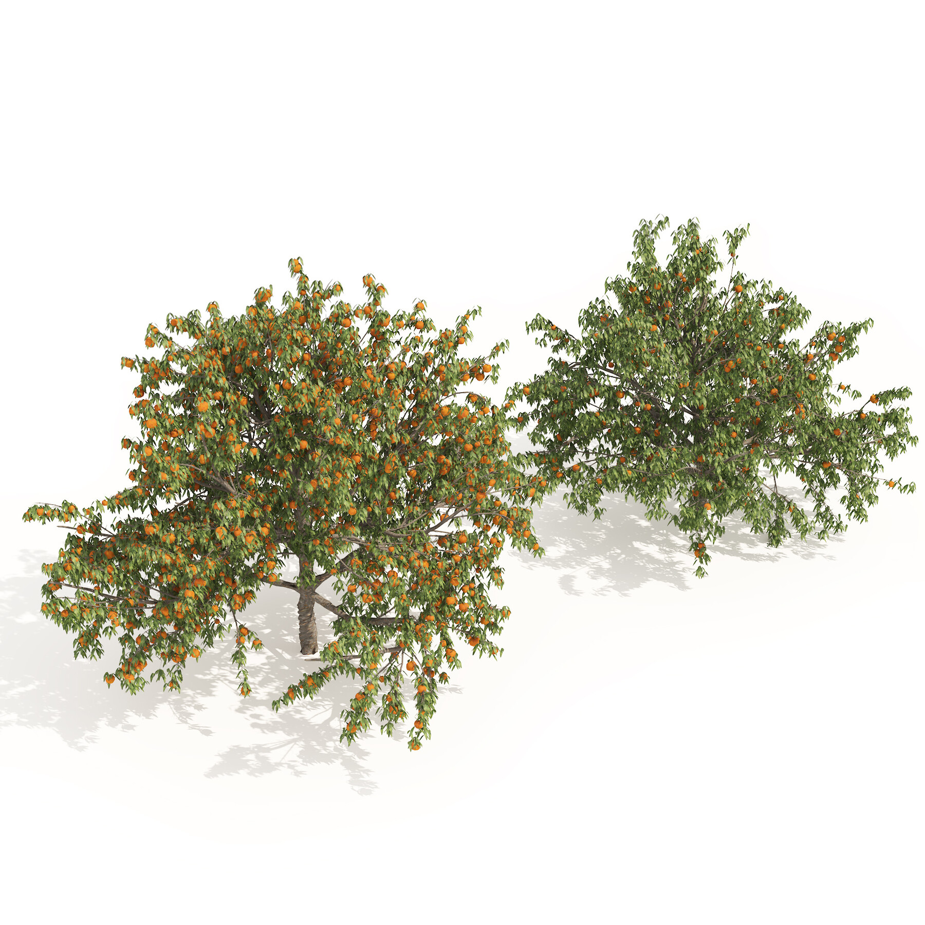 ArtStation - 2 Freestone Peach fruit Trees | Game Assets