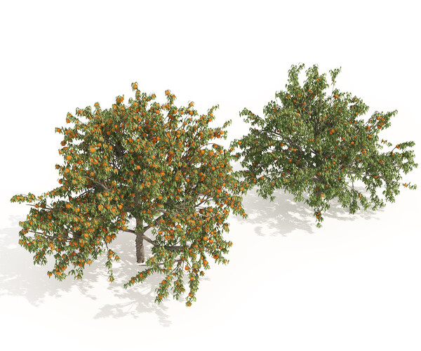 ArtStation - 2 Freestone Peach fruit Trees | Game Assets
