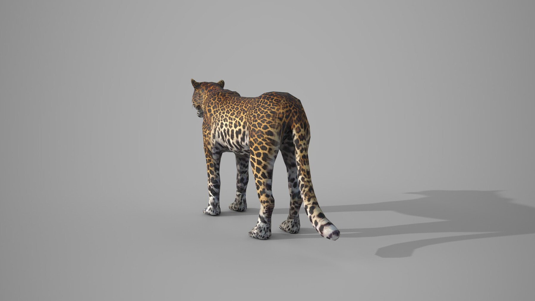 ArtStation - Leapord Animal | Game Assets