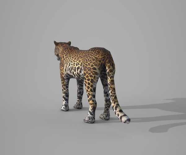 ArtStation - Leapord Animal | Game Assets