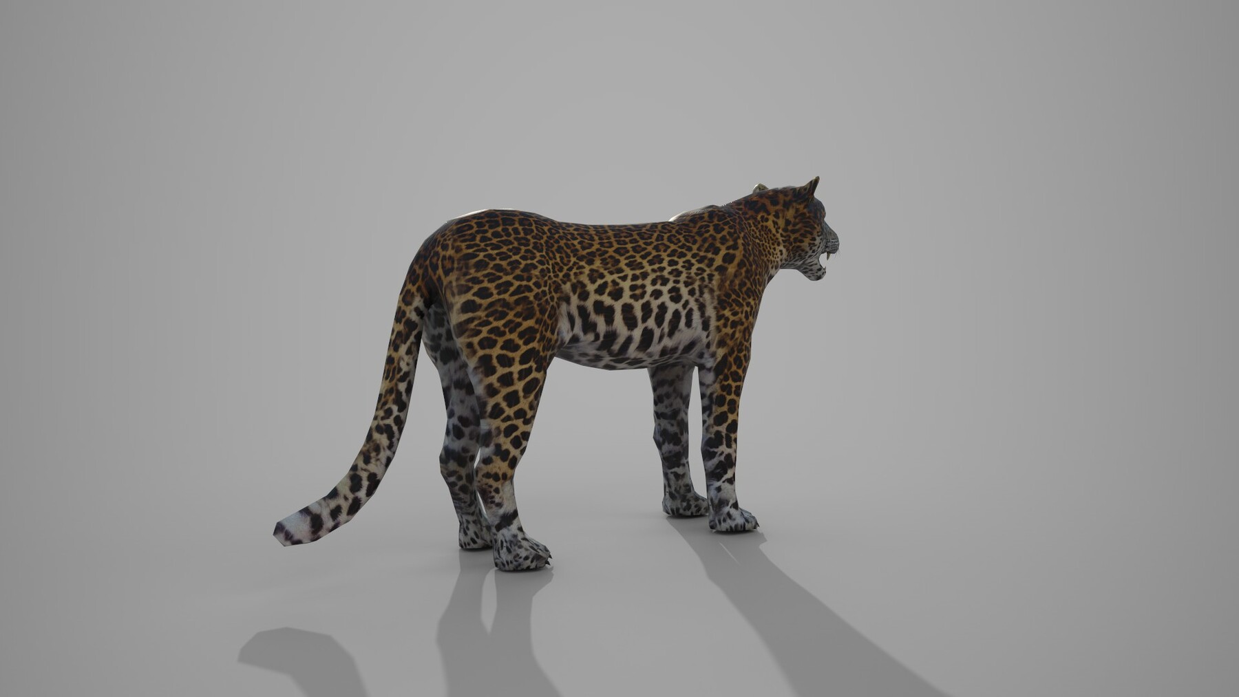 ArtStation - Leapord Animal | Game Assets