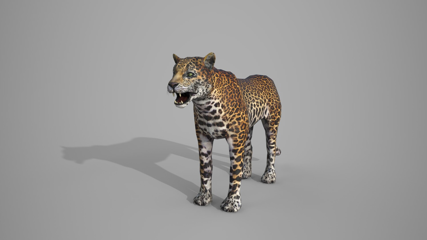 ArtStation - Leapord Animal | Game Assets