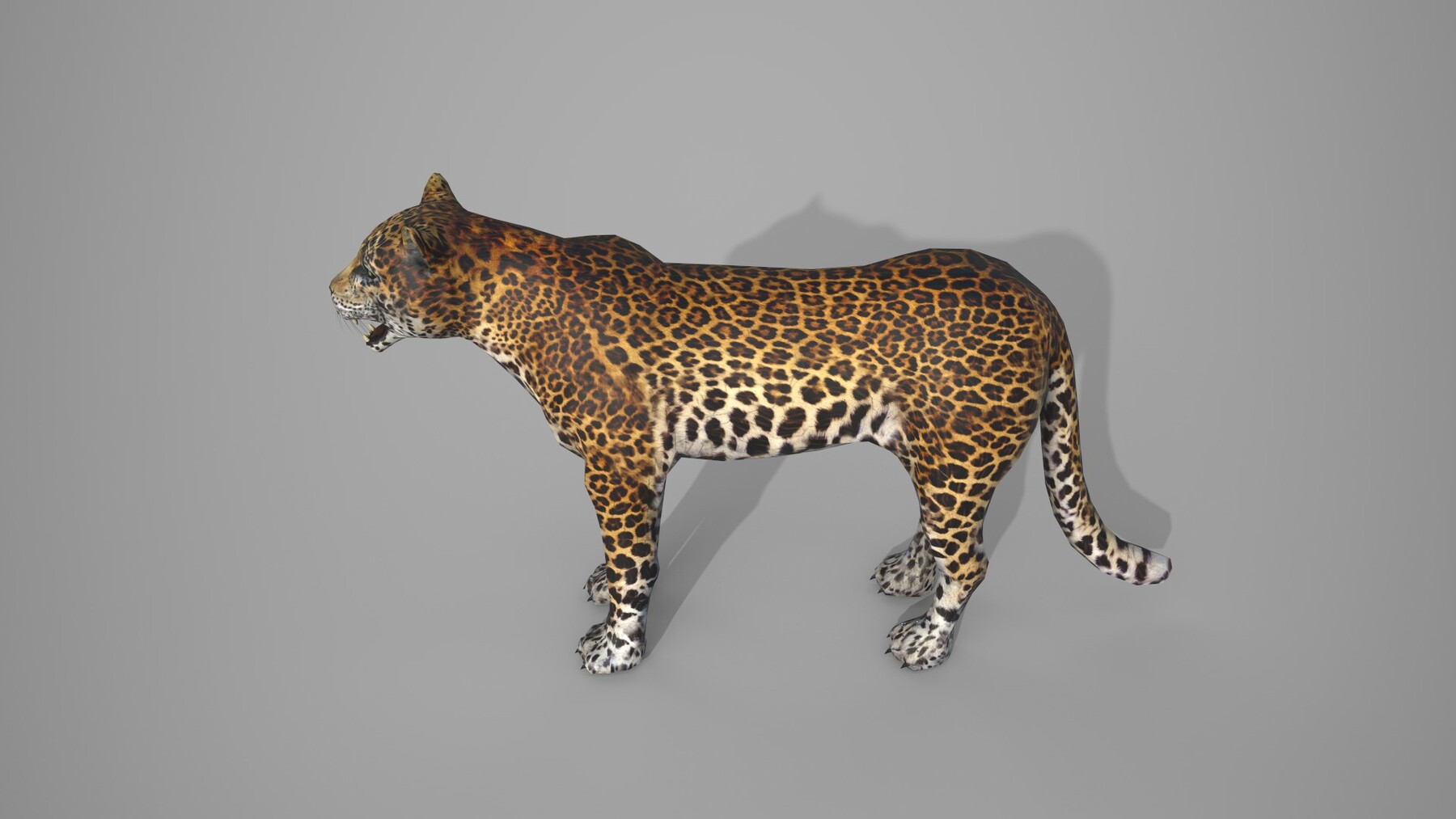 ArtStation - Leapord Animal | Game Assets