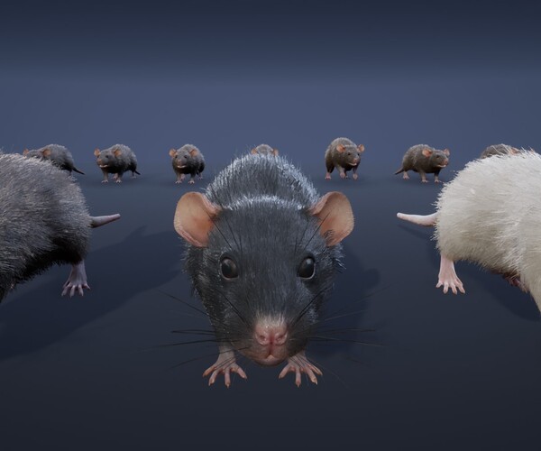 ArtStation - Mouse with Fur Rigged | Game Assets