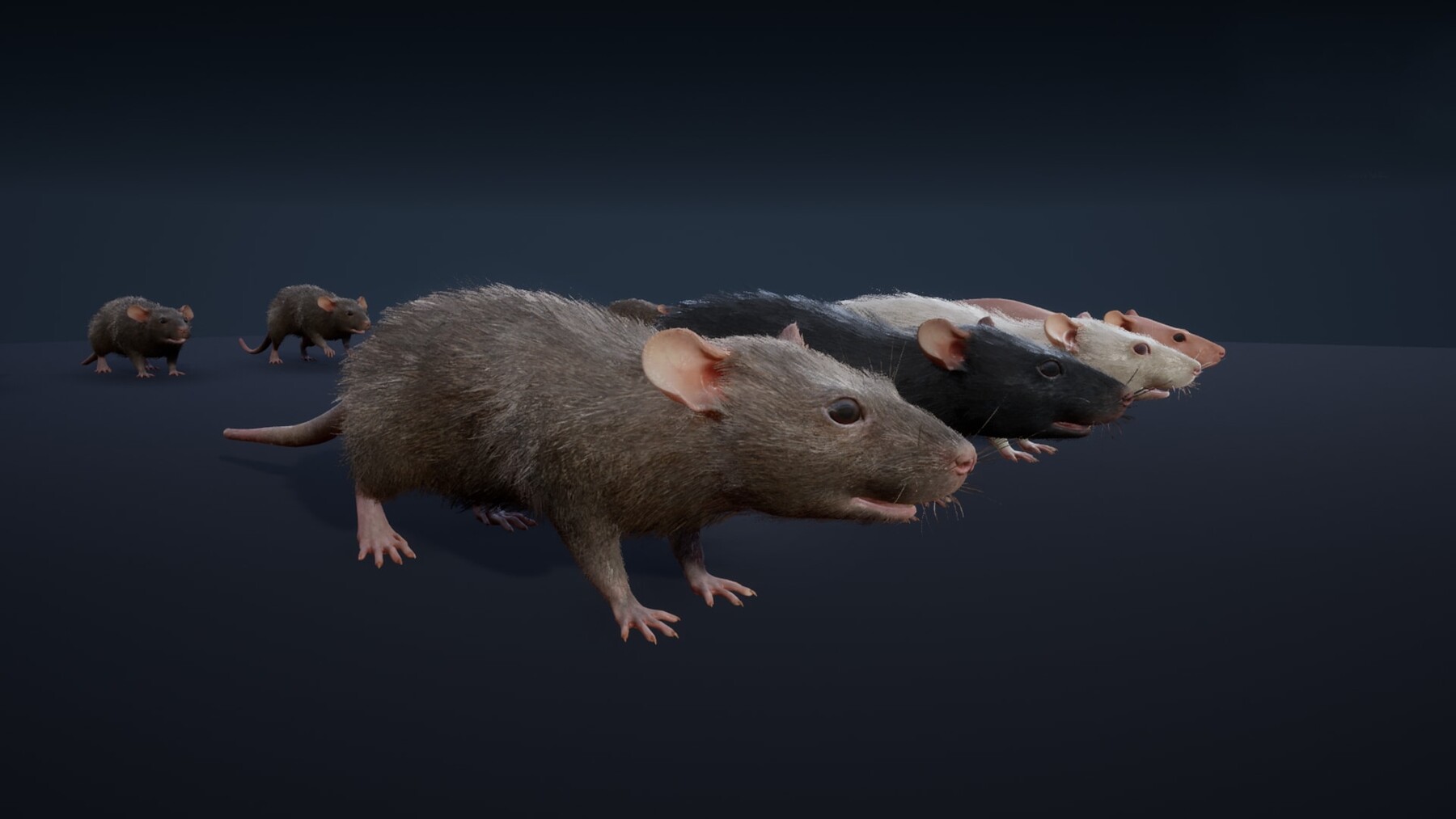 ArtStation - Mouse with Fur Rigged | Game Assets