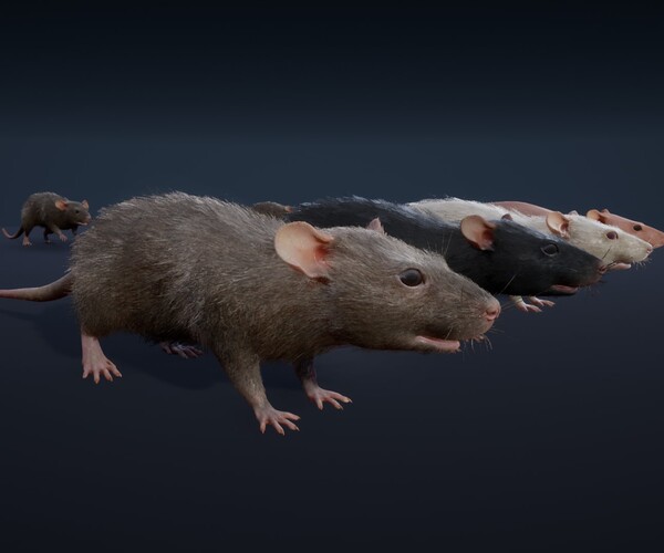 ArtStation - Mouse with Fur Rigged | Game Assets