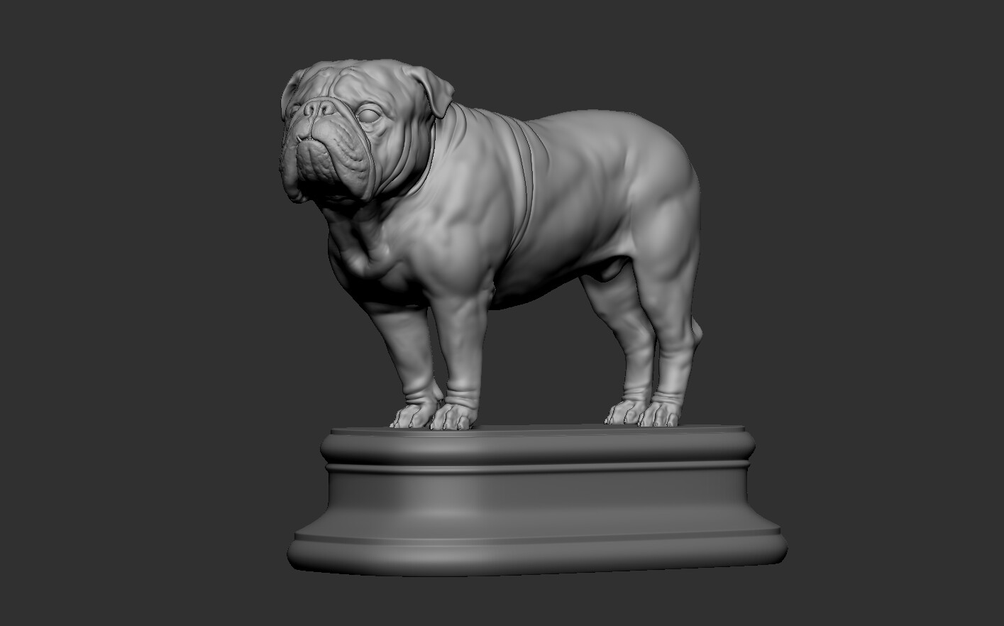 ArtStation - English Bulldog | Resources