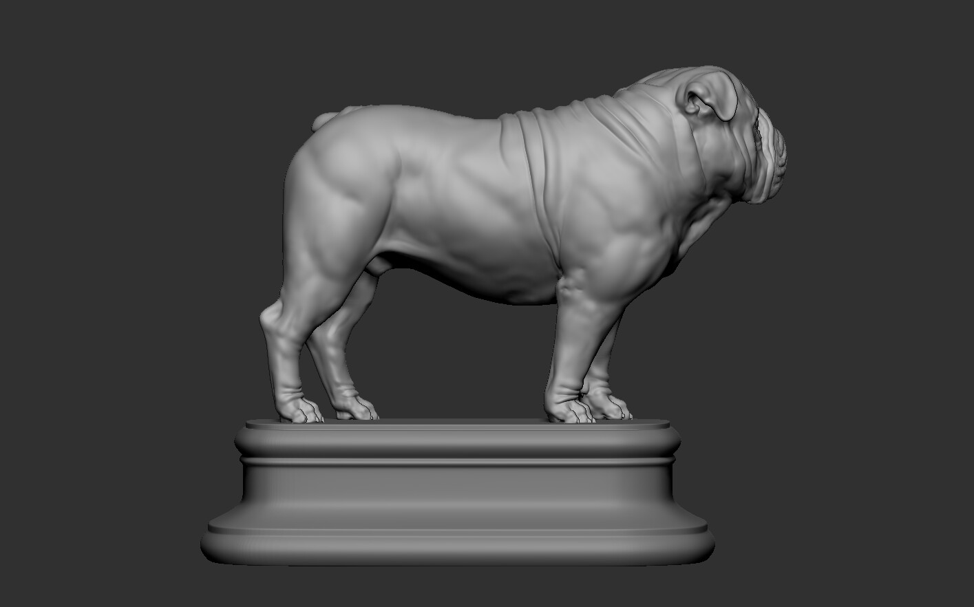 ArtStation - English Bulldog | Resources