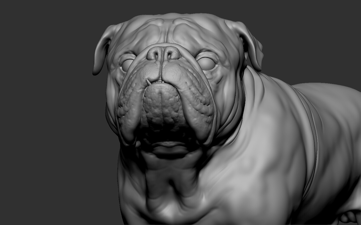 ArtStation - English Bulldog | Resources