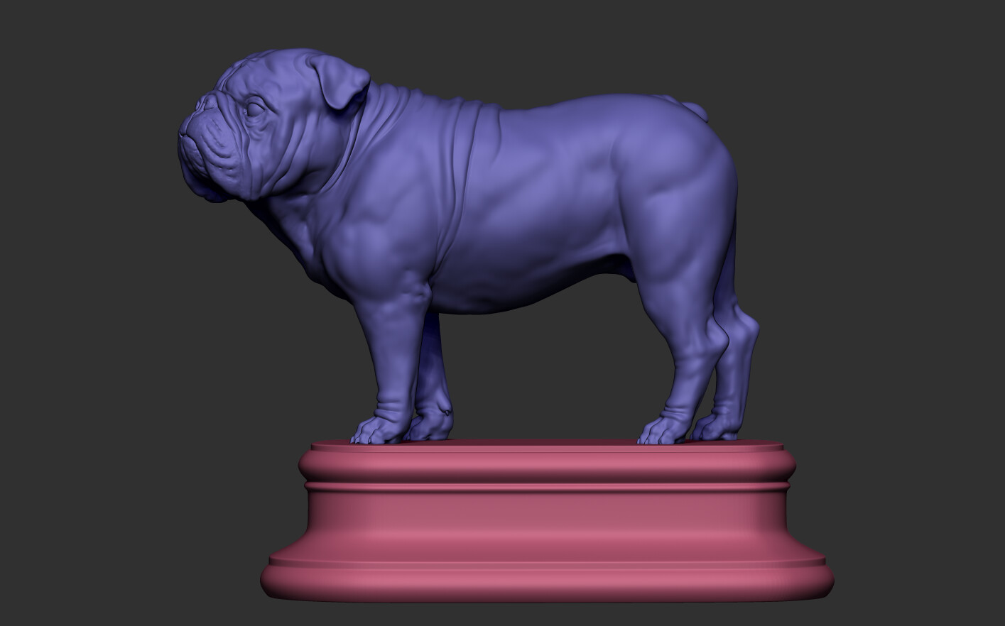ArtStation - English Bulldog | Resources