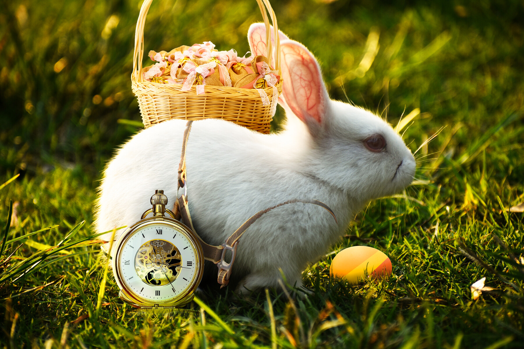 ArtStation - easter bunny | Artworks