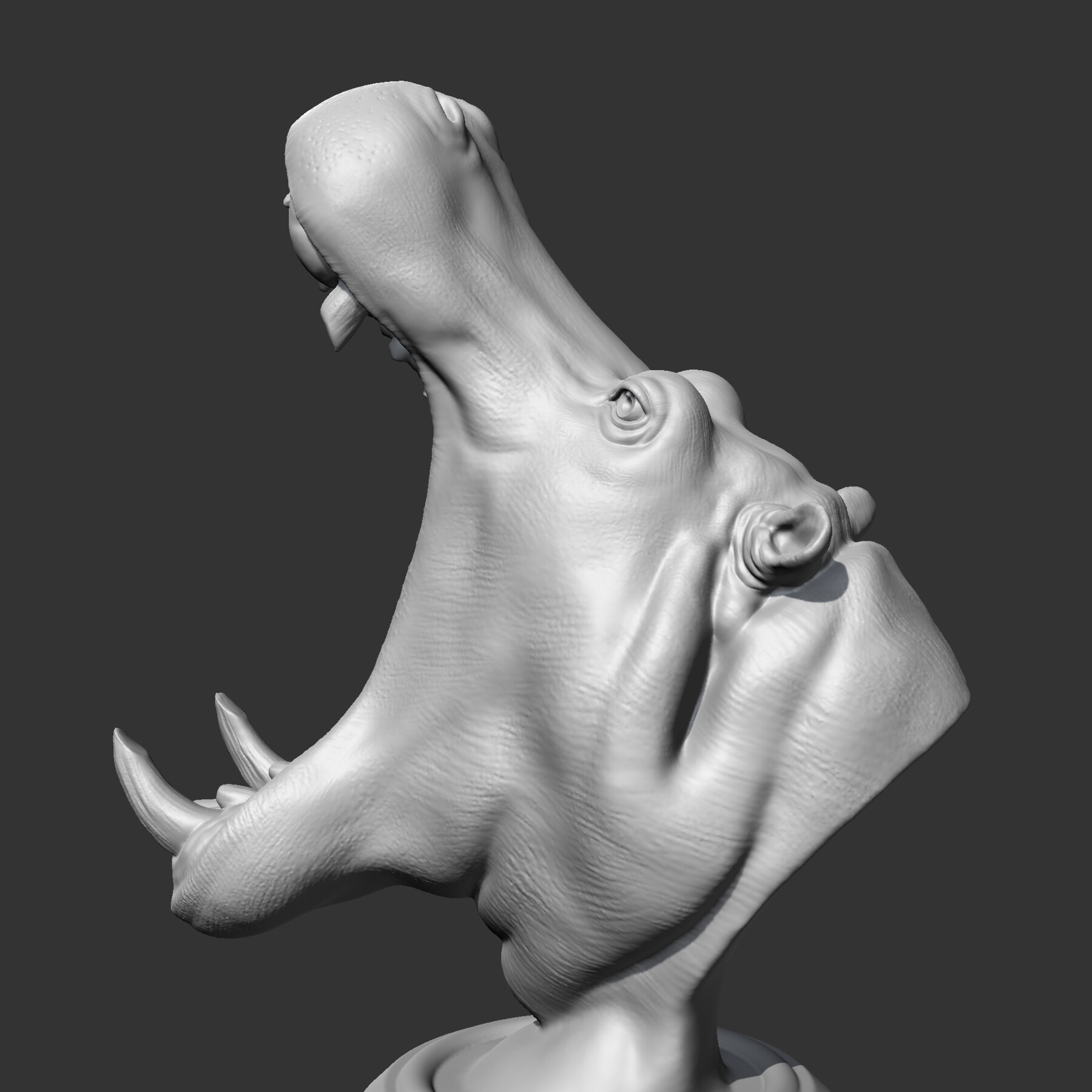 ArtStation - Hippo Head AM11 3D print model | Resources