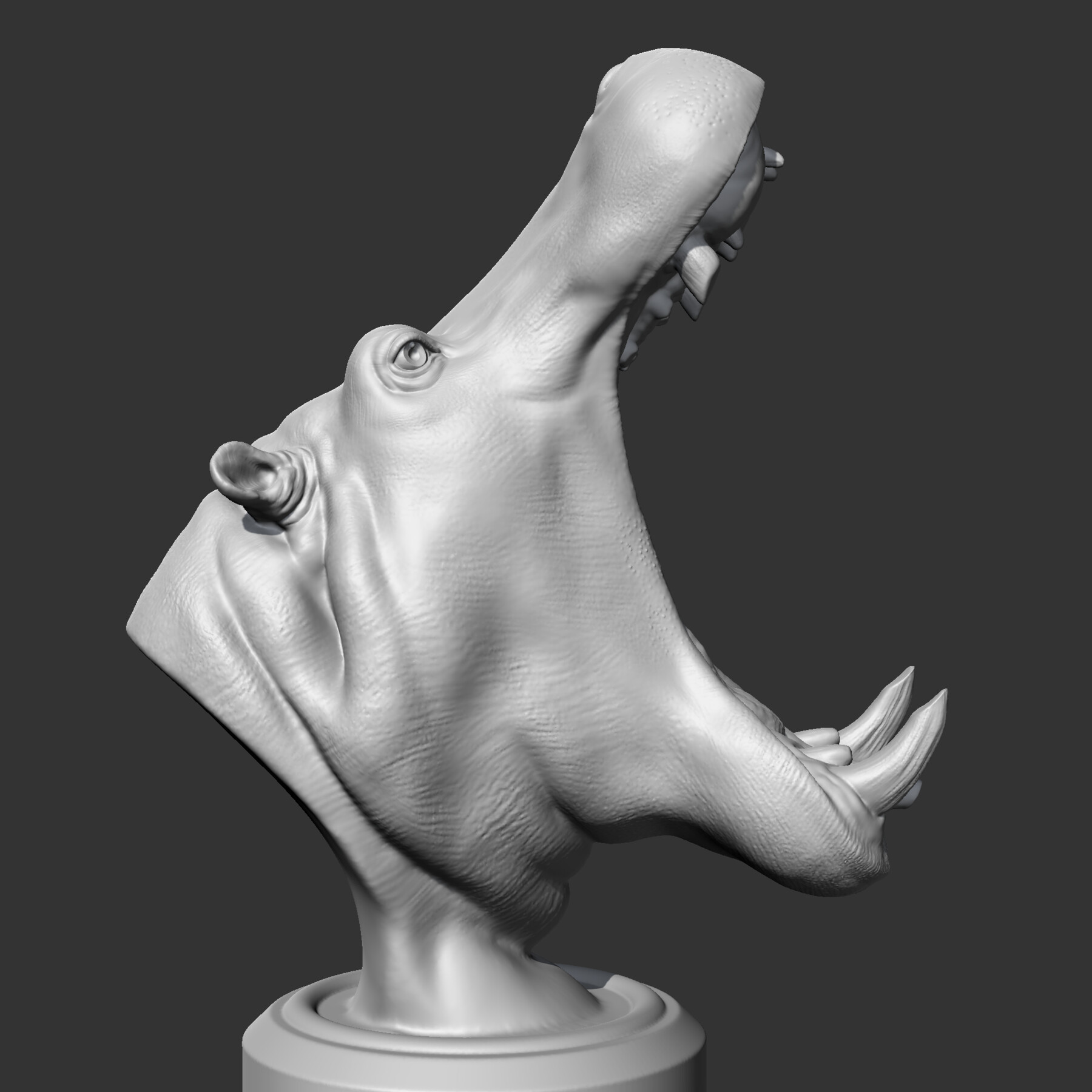 ArtStation - Hippo Head AM11 3D print model | Resources
