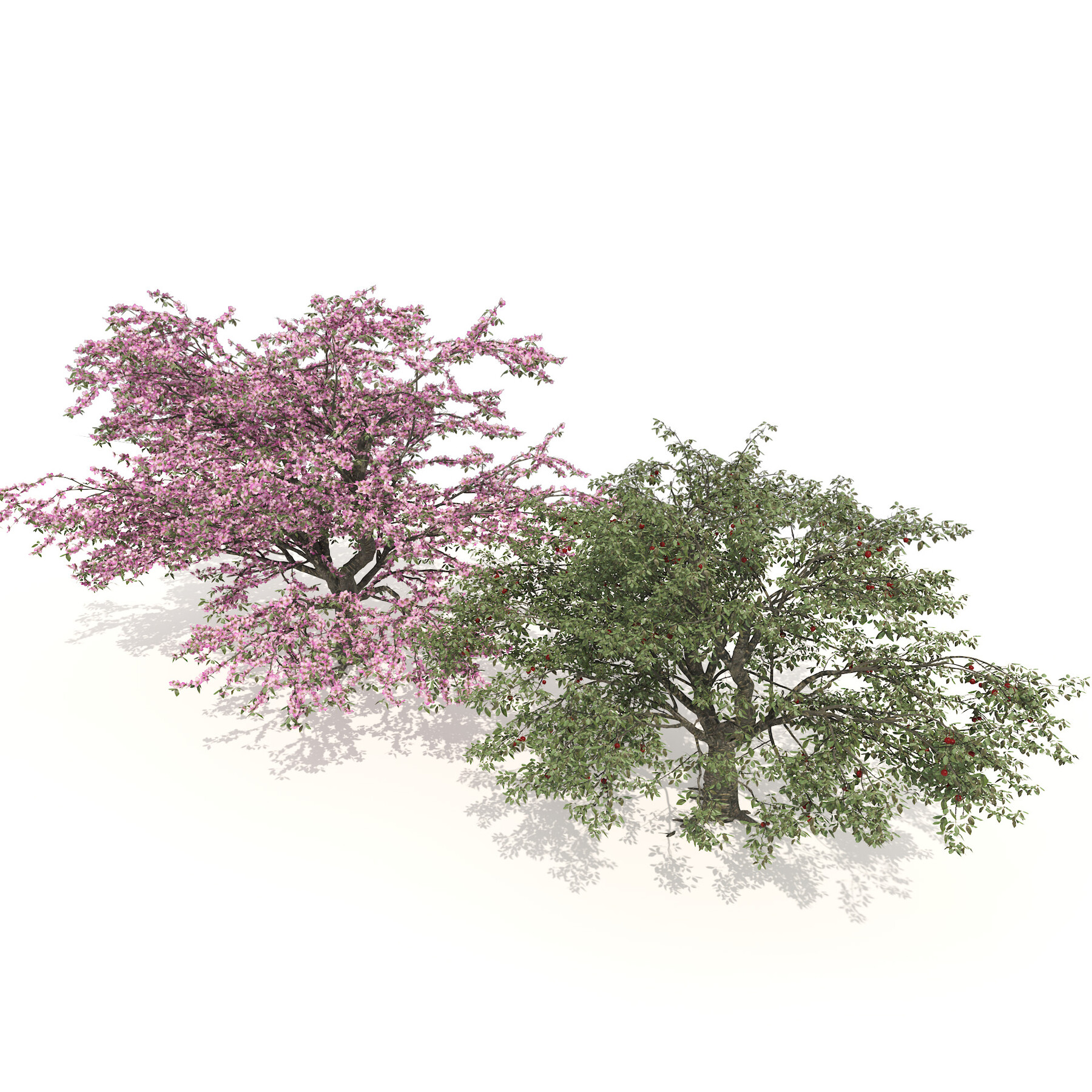 ArtStation - Blossom and fruit cherry trees | Game Assets