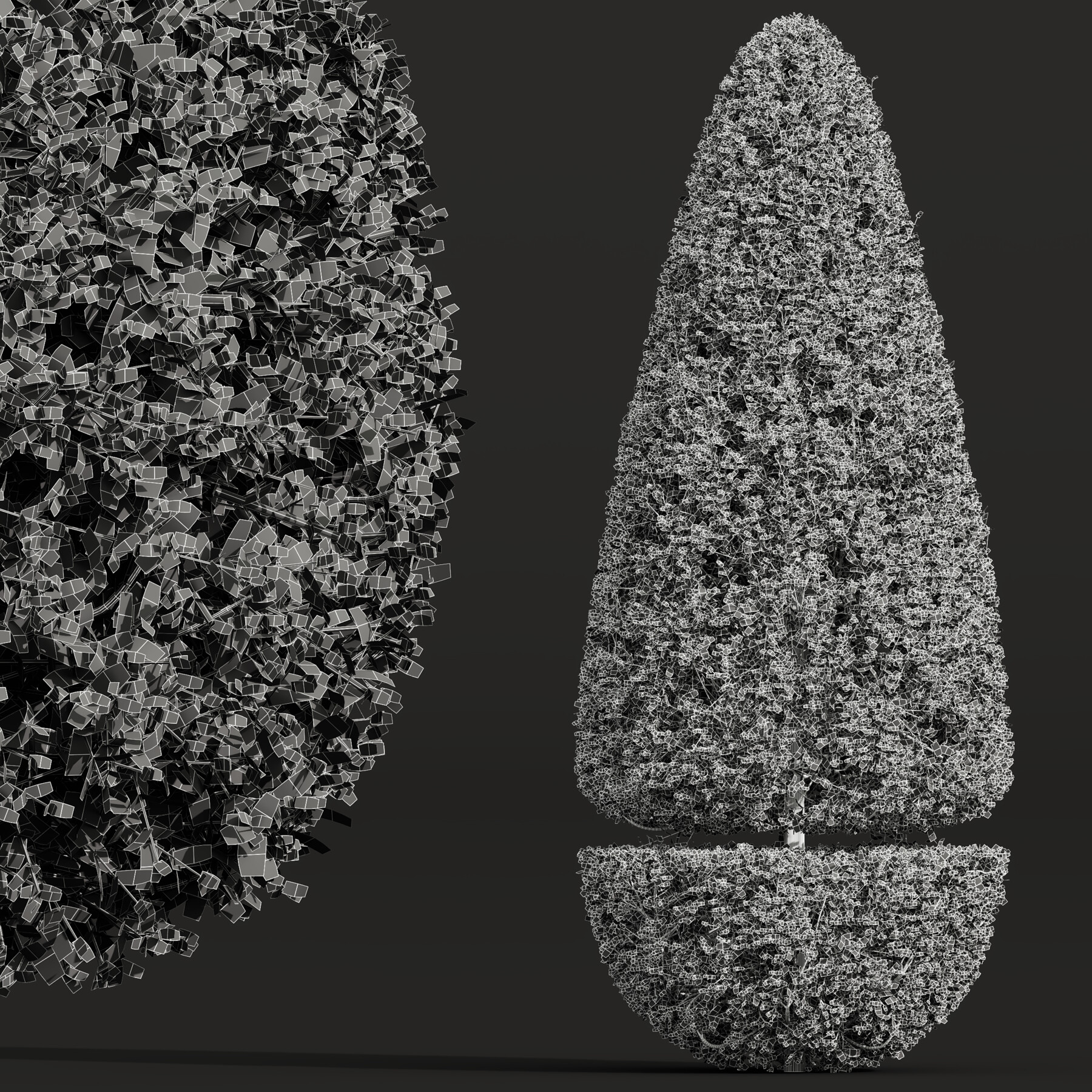 ArtStation - New Plant Ficus Concinna Bonsai Pruned Evergreen Shrubs ...