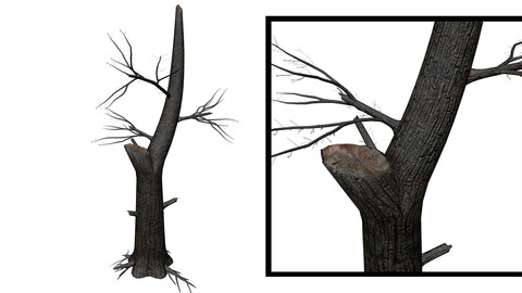 ArtStation - Burnt Tree #04 - High Poly Tree (3D Model) | Game Assets