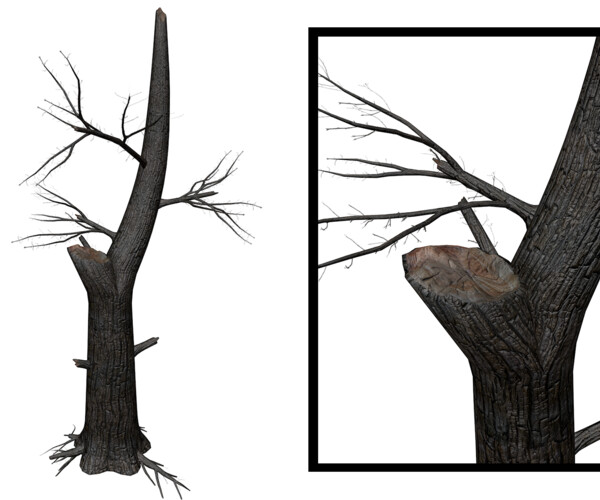 ArtStation - Burnt Tree #04 - High Poly Tree (3D Model) | Game Assets