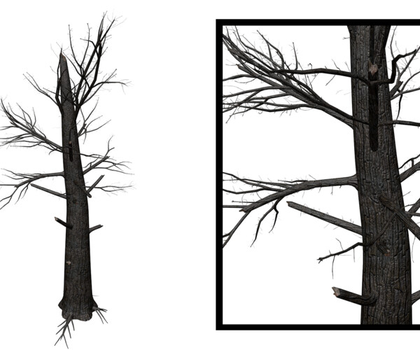 ArtStation - Burnt Tree #05 - High Poly Tree (3D Model) | Game Assets