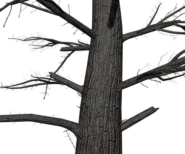ArtStation - Burnt Tree #03 - High Poly Tree (3D Model) | Game Assets