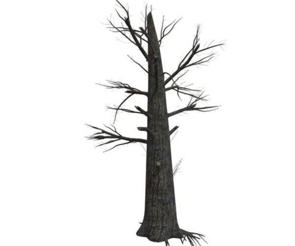 ArtStation - Burnt Tree #03 - High Poly Tree (3D Model) | Game Assets