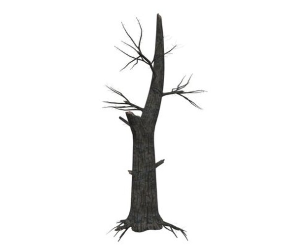 ArtStation - Burnt Tree #04 - High Poly Tree (3D Model) | Game Assets