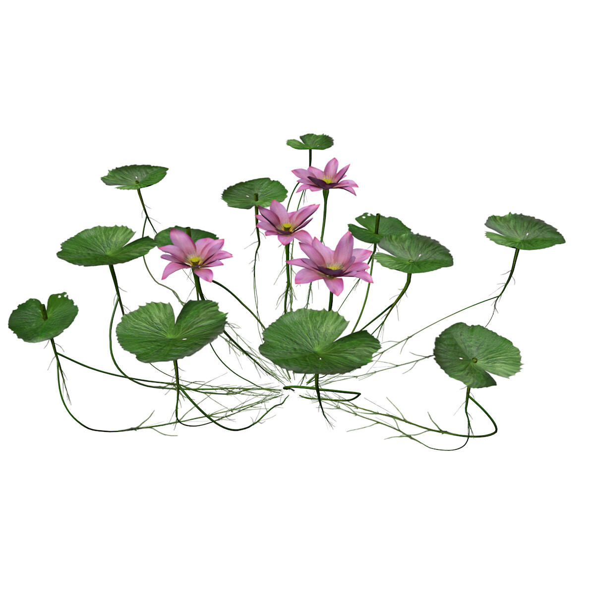 ArtStation - Lotus Flower #01 - High Poly Plant (3D Model) | Game Assets