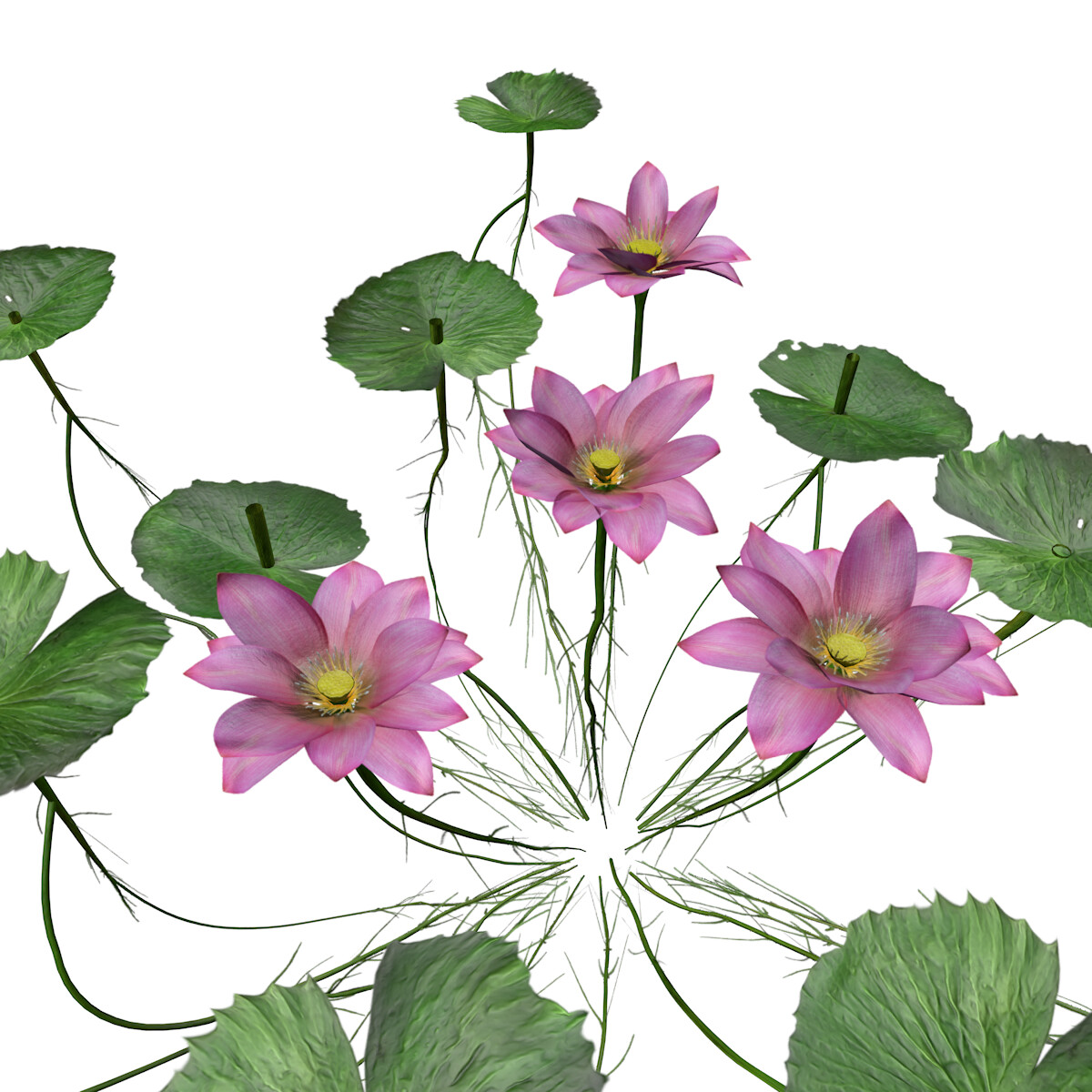 ArtStation - Lotus Flower #01 - High Poly Plant (3D Model) | Game Assets