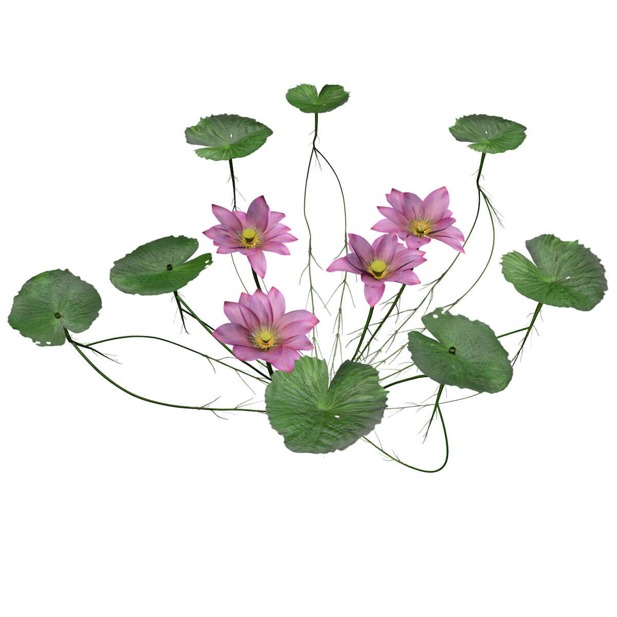 ArtStation - Lotus Flower #02 - High Poly Plant (3D Model) | Game Assets